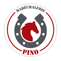 Loic Pino - Marechal-ferrant sur Valkae