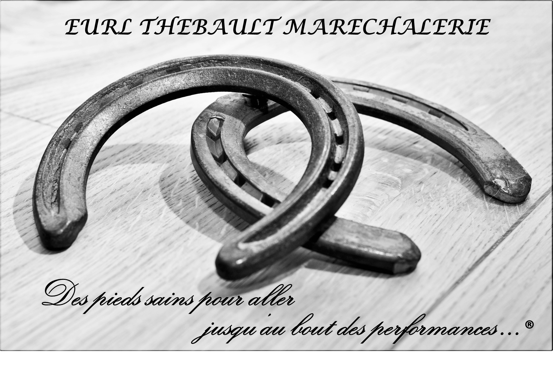 Pierre-henry Thebault - Marechal-ferrant sur Valkae